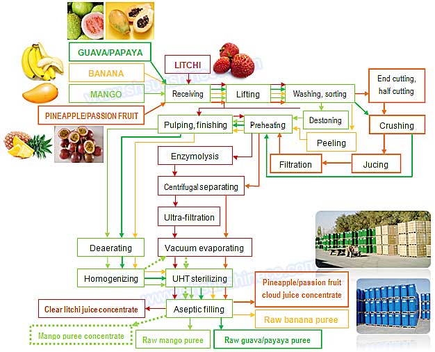Mango Juice Processing Flow Chart Pdf at Bridget Pardo blog Mango Juice Processing Flow Chart Pdf at Bridget Pardo blog